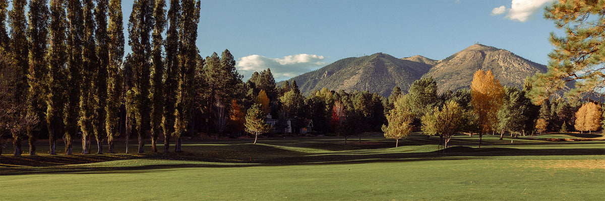 Gifts for the Fam – Bad Birdie