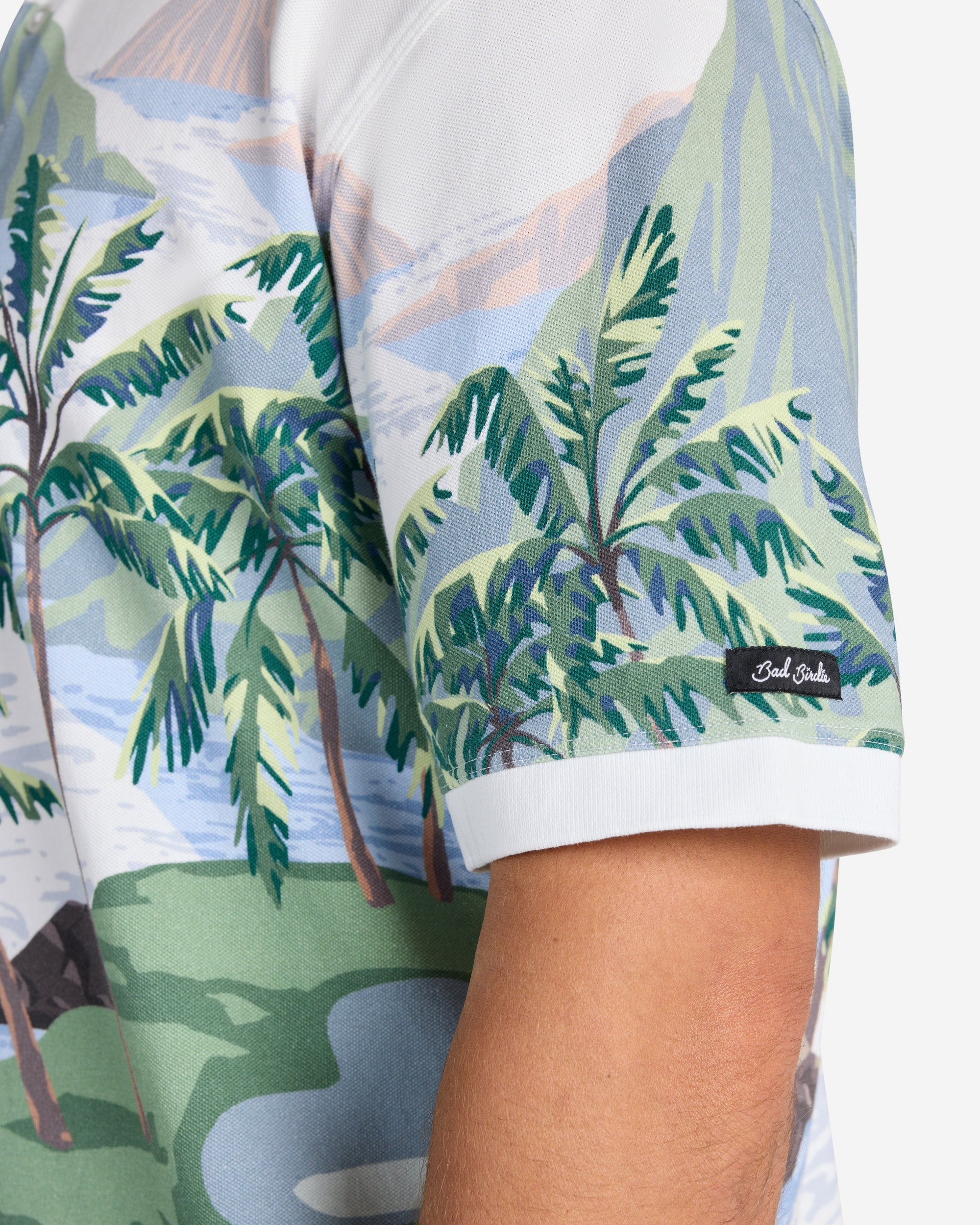 Winter Collection – Bad Birdie