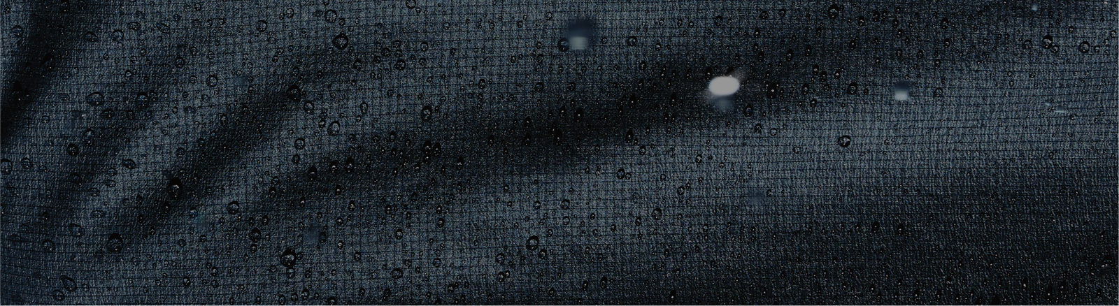 Bad Elements - Bad Birdie